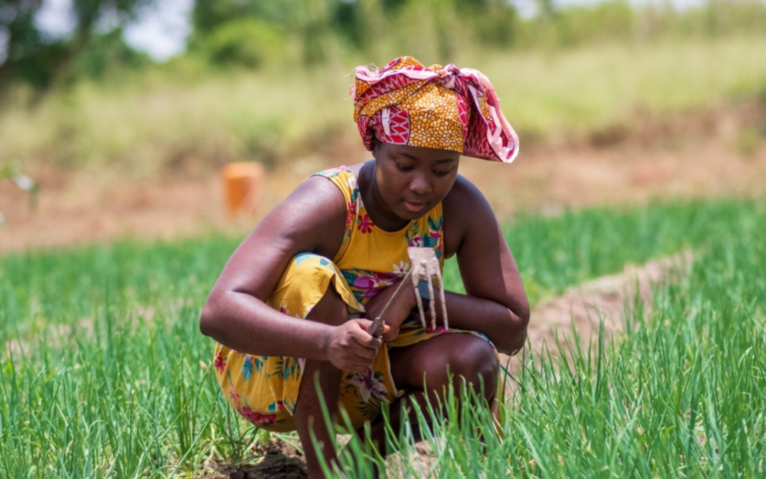 Currency, Conflict, and Global Order - Jackson Hole Economics