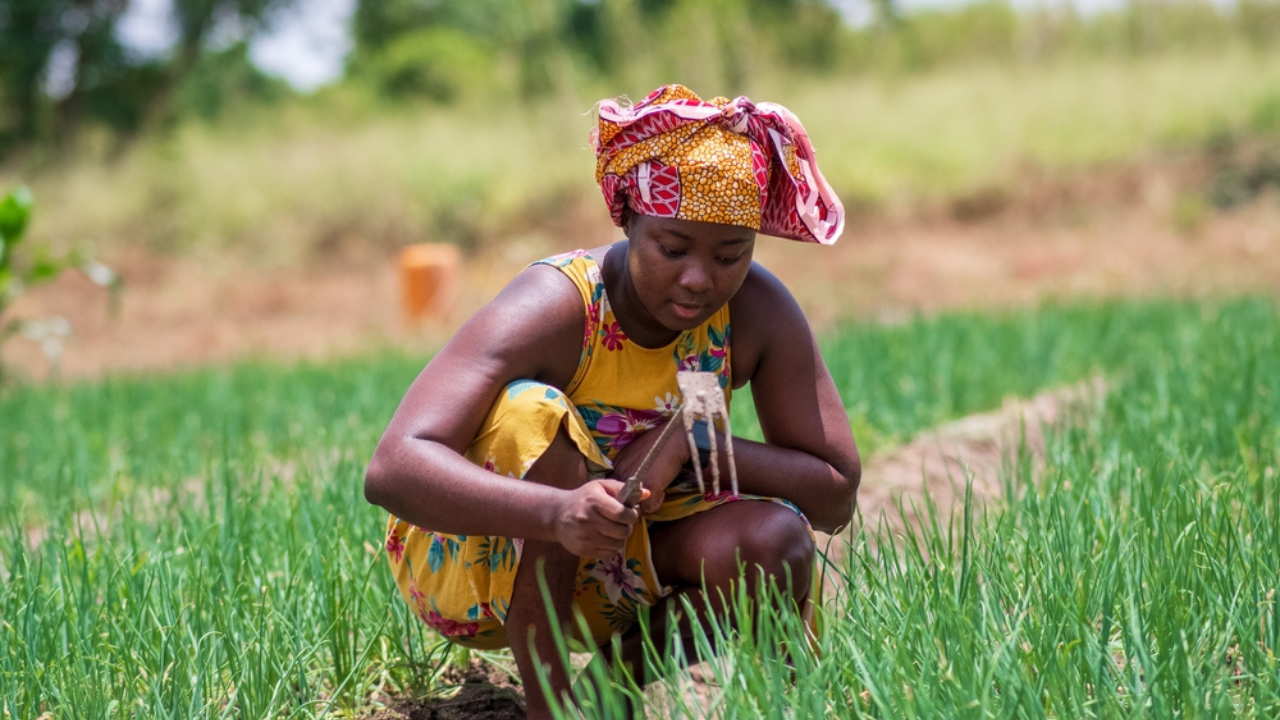 Winning the Fight for Women’s Land Rights - Jackson Hole Economics