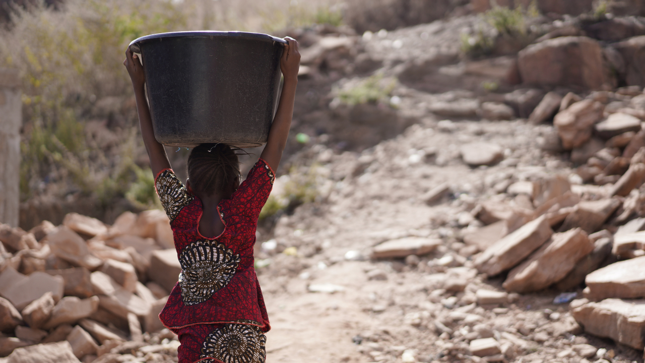 A Tragedy Is Unfolding in the Poorest Countries - Jackson Hole Economics