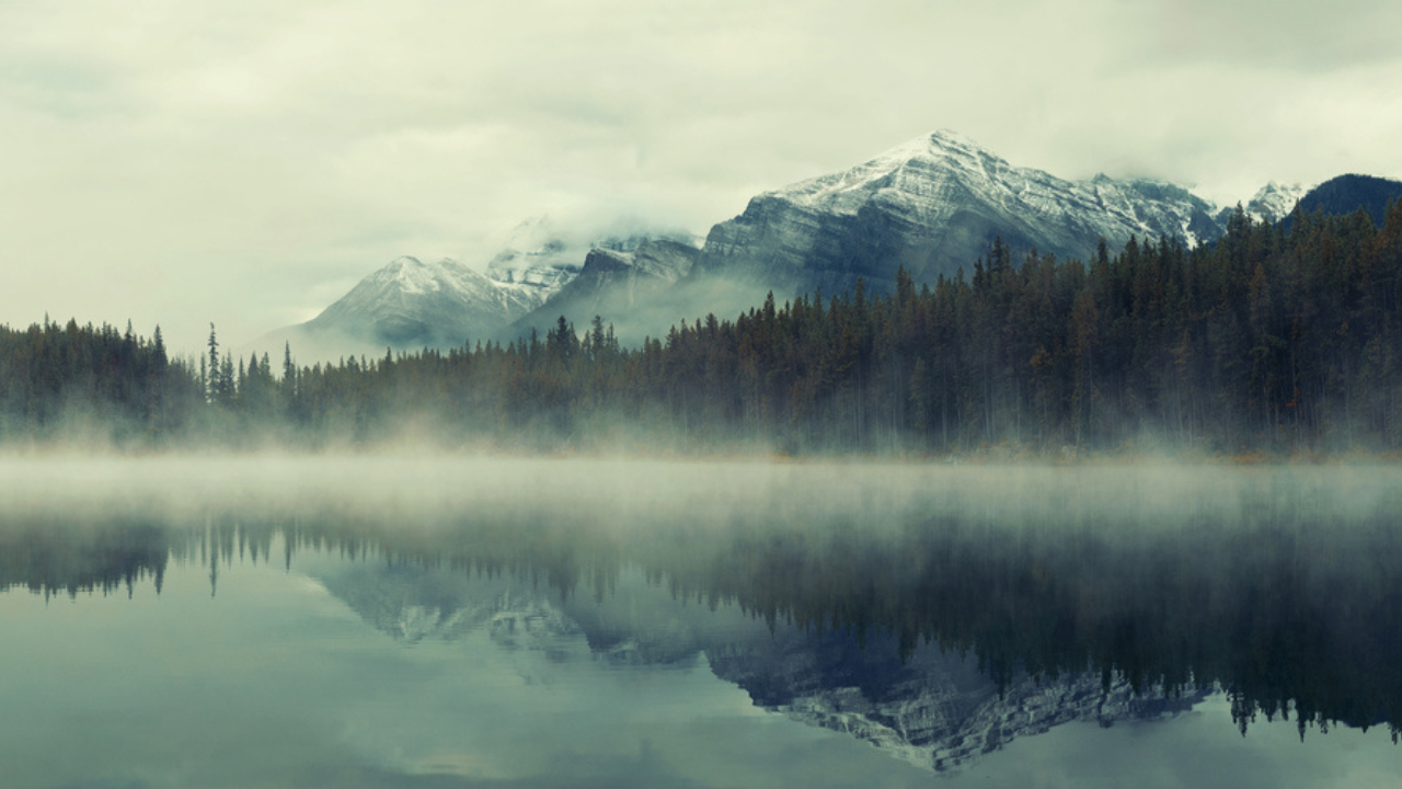 Nature-Positive Innovation - Jackson Hole Economics